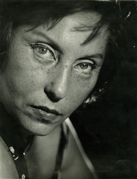 Clarice Lispector parece uma árvore - Correio IMS